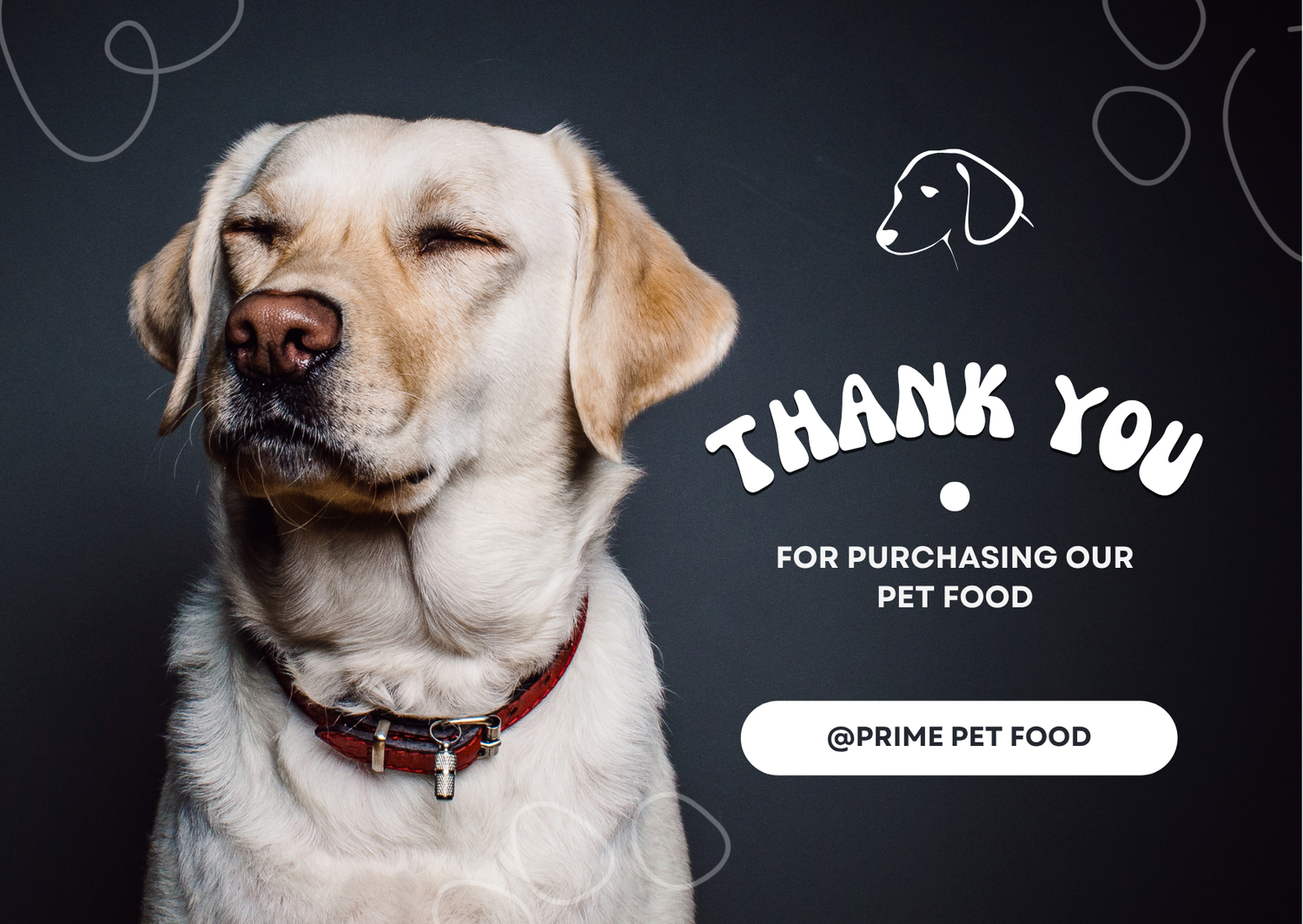 Himalayan Dog Chews | Natural, Long-Lasting Dog Treats – Prime Pet Food